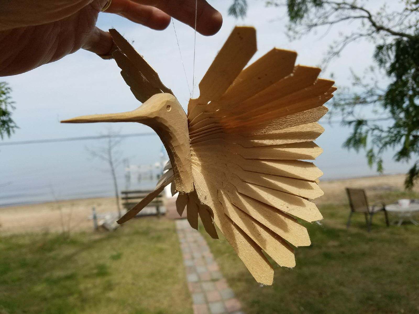 Fan Bird Class – Red River Valley Woodcarvers